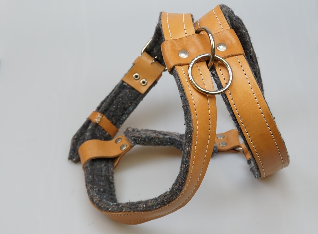 Postroj pro strážního psa