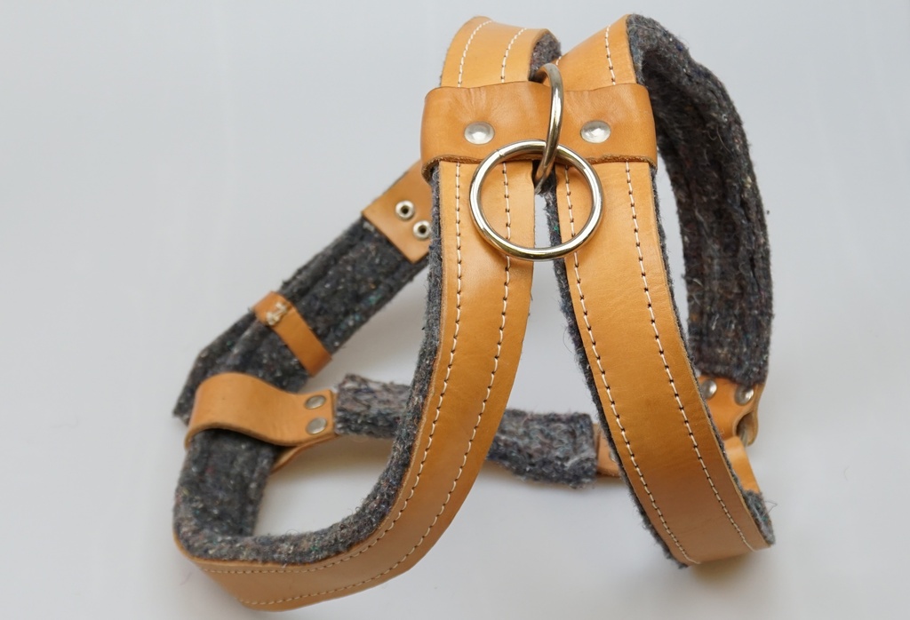 Postroj pro strážního psa